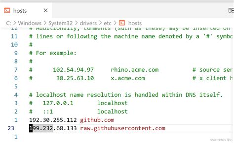 安装 on my zsh 报错curl 6 Could not resolve host raw githubusercontent
