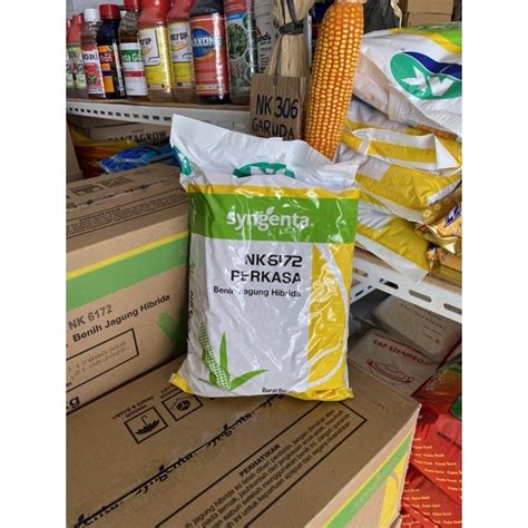 Jual Bibit NK Perkasa 6172 Benih Jagung Hibrida Syngenta Kemasan 5kg