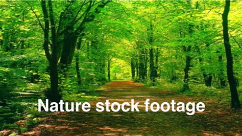 Beautiful Nature Making Video Using Stock Footage From Pixabay