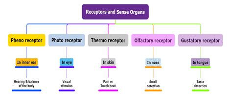Mindmap Lesson Science State Board Class 10