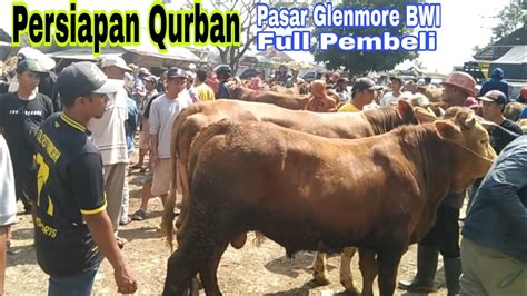 Sapi Limousin Super Persiapan Qurban Youtube
