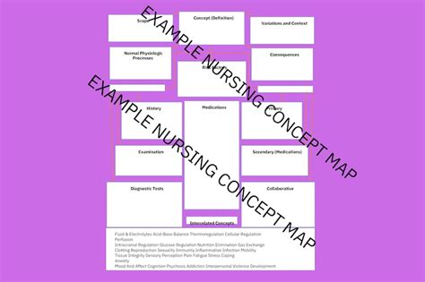 Nursing Concept Map Template Printable Nurse Concept Map Etsy Israel