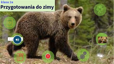 Przygotowania Do Zimy 2D Copy