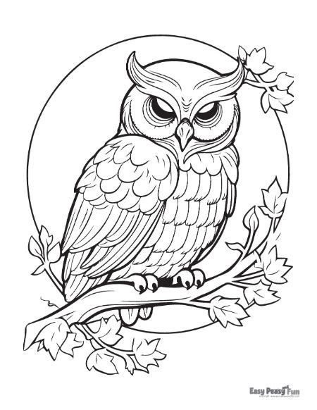 Owl Coloring Pages 30 Printable Sheets Easy Peasy And Fun