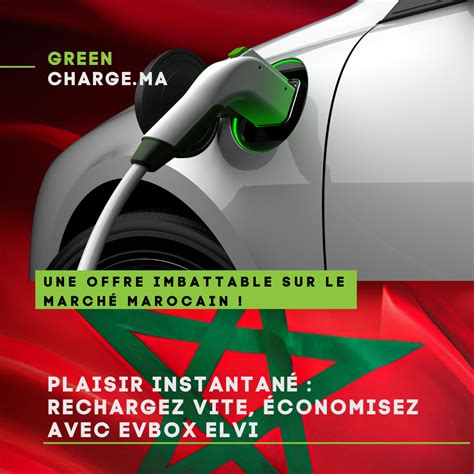 Installation de Bornes de Recharge pour Véhicules Électriques 2024