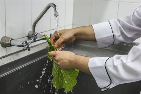 Quais as formas de transmissão da virose Saúde de Curitiba alerta para