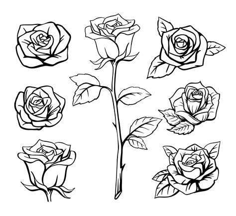 Fresh Line Coloring Pages Roses Outline Sketch Drawing Vector Small