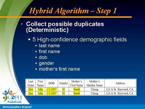 an approach to immunization record deduplication hybrid approach