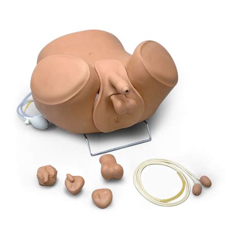 Female Manual Rectal Examination Procedure