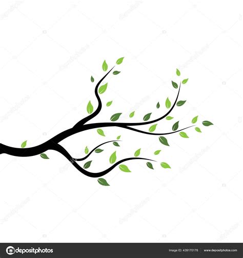 Tree Branch Vector Ilustration Design Template Stock Vector By