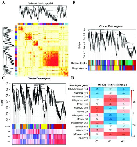 Expression Level Cluster Analysis And Phenotypic Association A