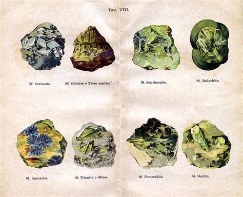 Piccolo Atlante Popolare Di Storia Naturale MTI Blog