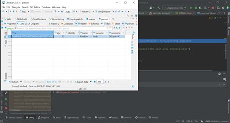 Java Database Integration Tests With Database Rider And Testcontainers