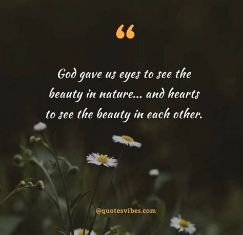 50 God S Beauty Quotes To Inspire You Every Morning