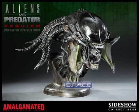 1 1 PredAlien Life Size Bust Aliens Vs Predator Requiem S P A C E
