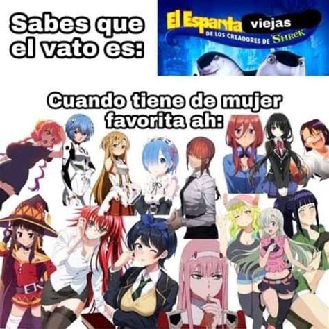 Pin De Lawrence Beckwith En Memes Memillos Memingos Memazos Y