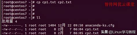 linux使用命令行复制文件的6个案例 复制 etc issue至用户主目录下 文件名为f1 txt csdn博客