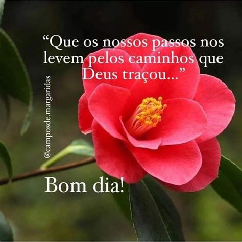 Imagens De Bom Dia Para O WhatsApp Veja As 70 Melhores