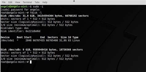 Configurar LVM En Linux Mint