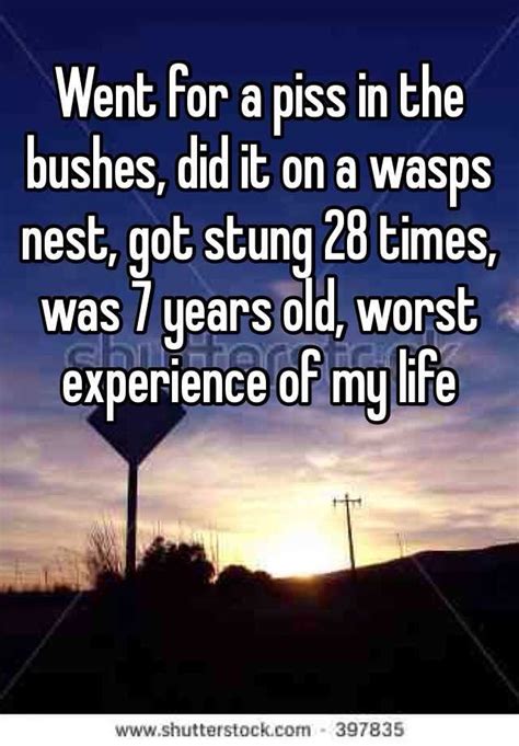 Went For A Piss In The Bushes Did It On A Wasps Nest Got Stung 28 Times Was 7 Years Old