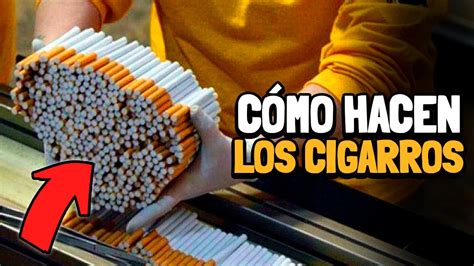 CÓMO se HACEN los CIGARRILLOS De dónde viene el TABACO YouTube