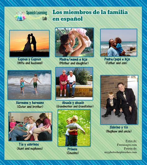 Los Miembros De La Familia En Espa Ol Lista Y Oraciones Spanish