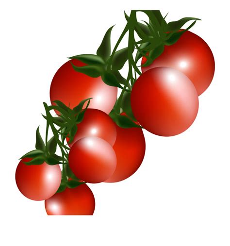 Cherry Tomato Clip Art Cartoon Red Tomatoes Clipart Clip Art Library