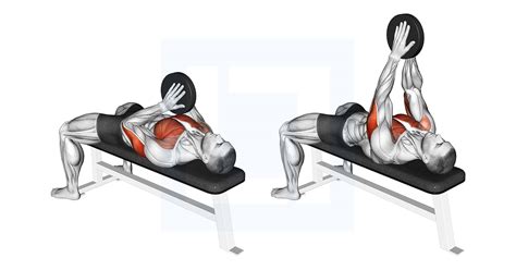 Dumbbell Alternate Biceps Curl Guide Benefits And Form
