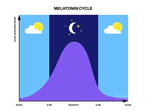 Sleep Wake Cycle 11 Photograph By Pikovit Science Photo Library Pixels