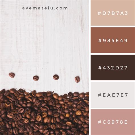 Coffee Beans Composition On White Background Color Palette Ave
