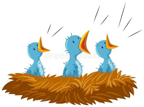 Three Baby Birds In Nest Stock Vector Illustration Of Birds 77387295