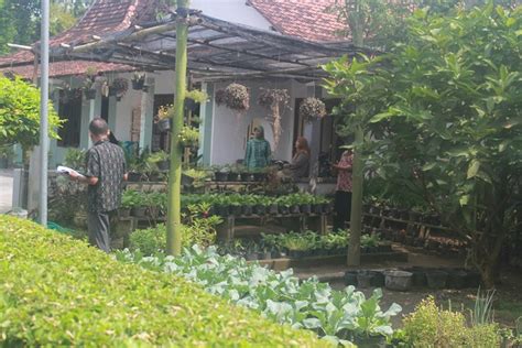 Kawasan Rumah Pangan Lestari KRPL Dinas Ketahanan Pangan Tulungagung