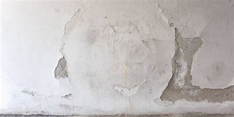 Cómo Pintar una Pared con Humedad Mejores Tips Sacosa
