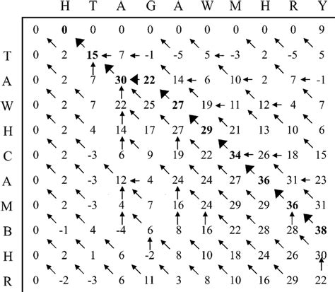 the overlap dynamic programming matrix for hypercomplex number download scientific diagram
