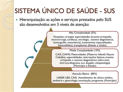 Niveis De Complexidade Do Sus Braincp