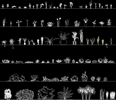 Shrubs And Plants D Dwg Block For Autocad Designs Cad