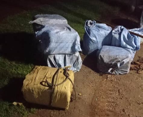 Polícia aprende 400 kg de drogas em sacos e caixas selo da Covid 19