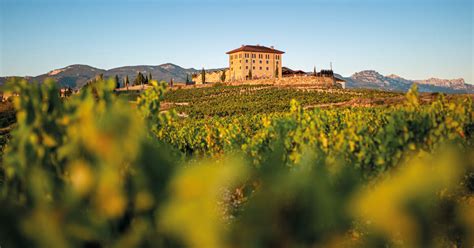 Las Mejores Bodegas De La Rioja Para Disfrutar Del Vino Y De Mucho