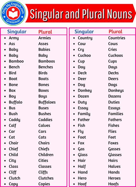 A Huge List Of Singular And Plural Nouns Words OnlyMyEnglish