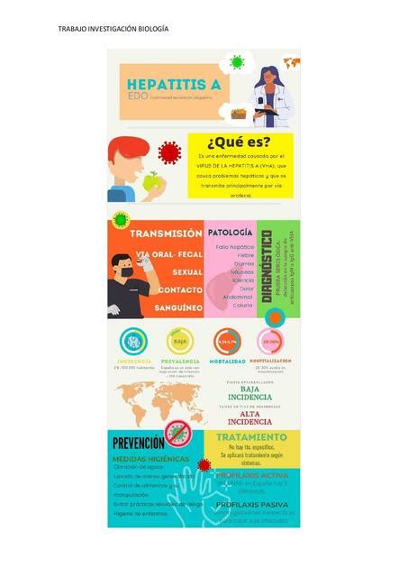 Hepatitis A infografía Isabela Fernandez uDocz