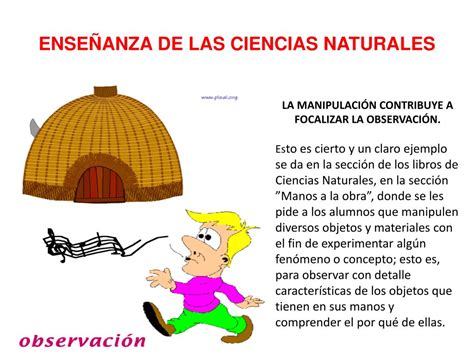 PPT ENSEÑANZA DE LAS CIENCIAS NATURALES PowerPoint Presentation free