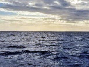 Recognizing The Ocean As A Living Being Is Increasingly Important For