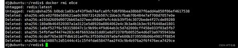 史上最详细docker安装redis （含每一步的图解）实战 docker redis 宁在春的博客 csdn博客