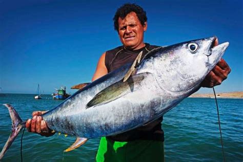 Qué es la Reserva Nacional Mar Tropical de Grau y por qué es