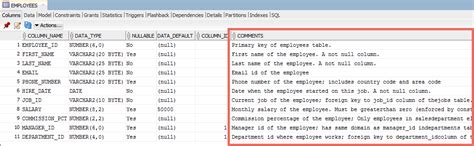 what you can comment in oracle database dataedo blog