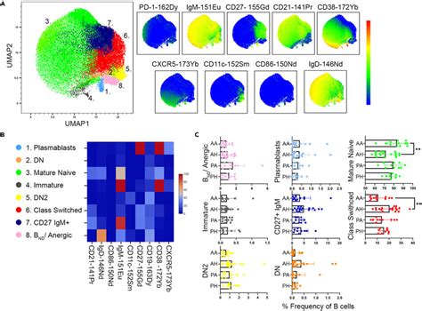 unsupervised clustering and dimension reduction analysis of b cells download scientific diagram