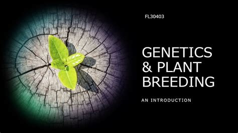 Fl Plant Breeding And Genetics Lecture Youtube