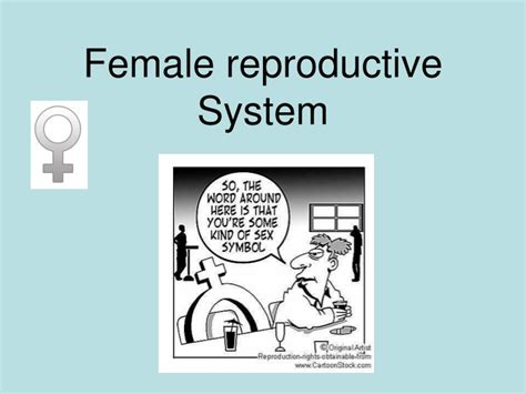 Ppt Female Reproductive System Powerpoint Presentation Free Download Id9380895