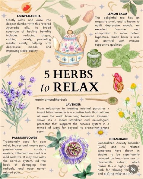 Épinglé par Amira Skylah sur Idea Pins by you Herbes médicinales