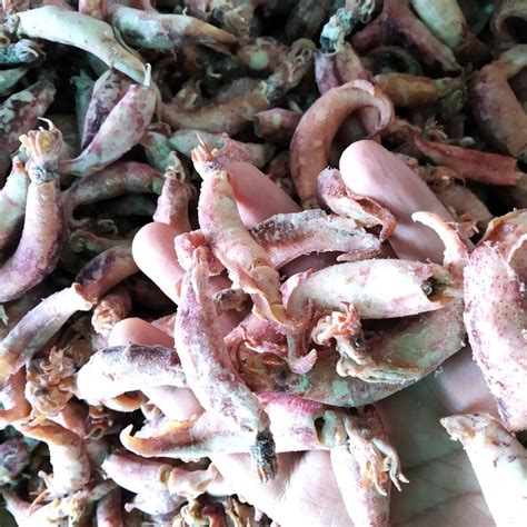 Jual CUMI ASIN SUPER 10KG KERING Indonesia Shopee Indonesia